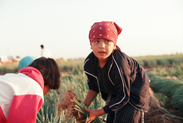 Stop Child Labor – The Child Labor Coalition – the Website of the Child ...